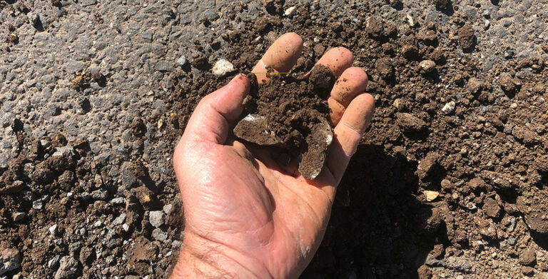 Soil Material Sampling | SITE Geo